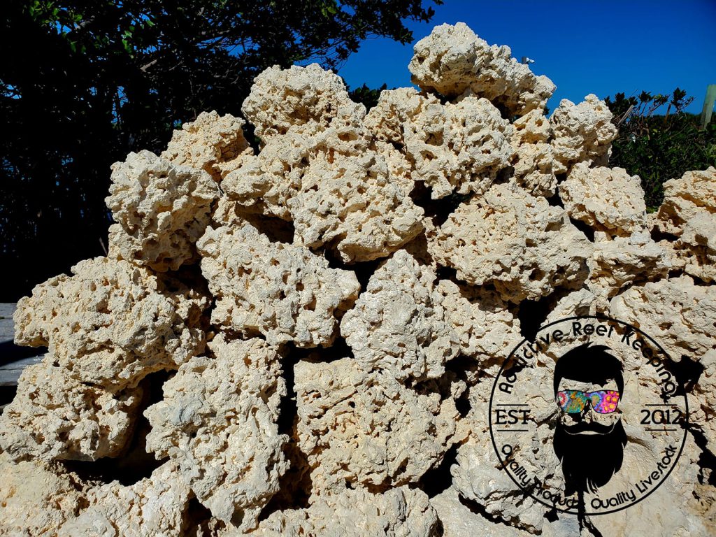 ARK White DRY Reef Rock- Select Size and Weight – Addictive Reef Keeping