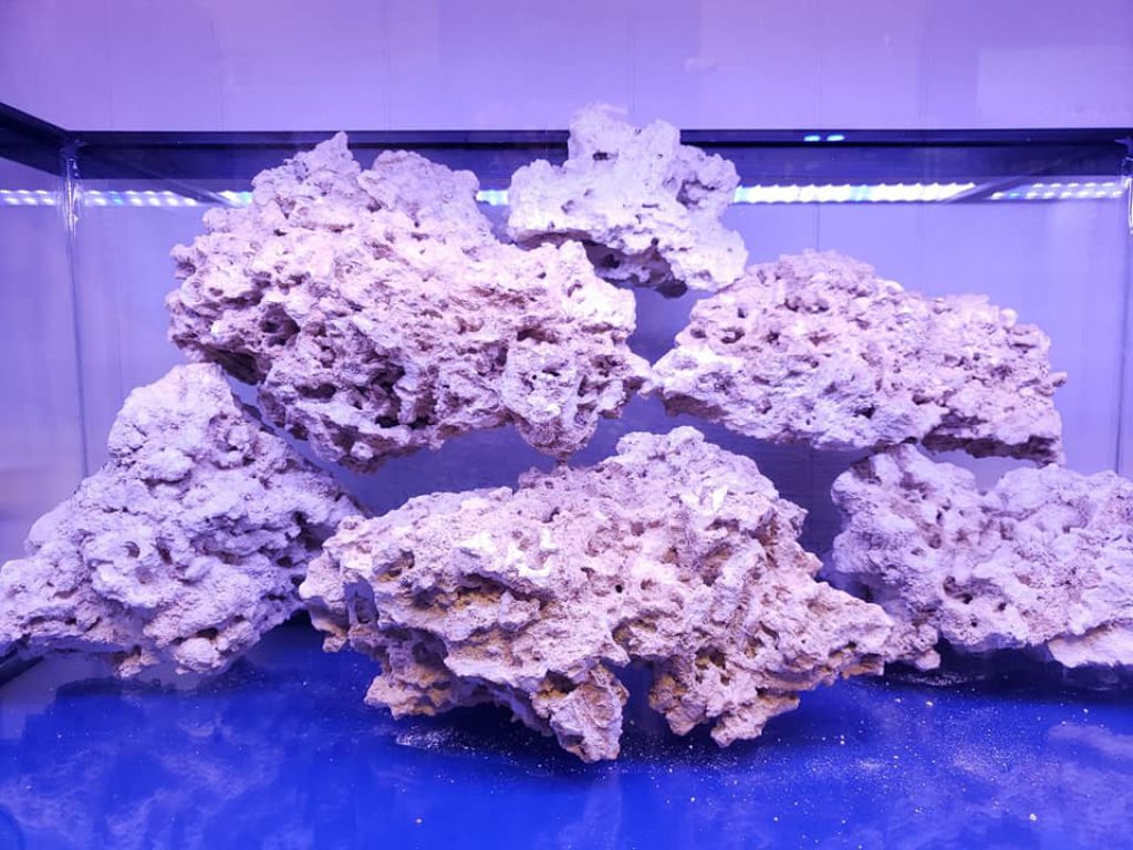 ARK White DRY Reef Rock- Select Size and Weight – Addictive Reef Keeping
