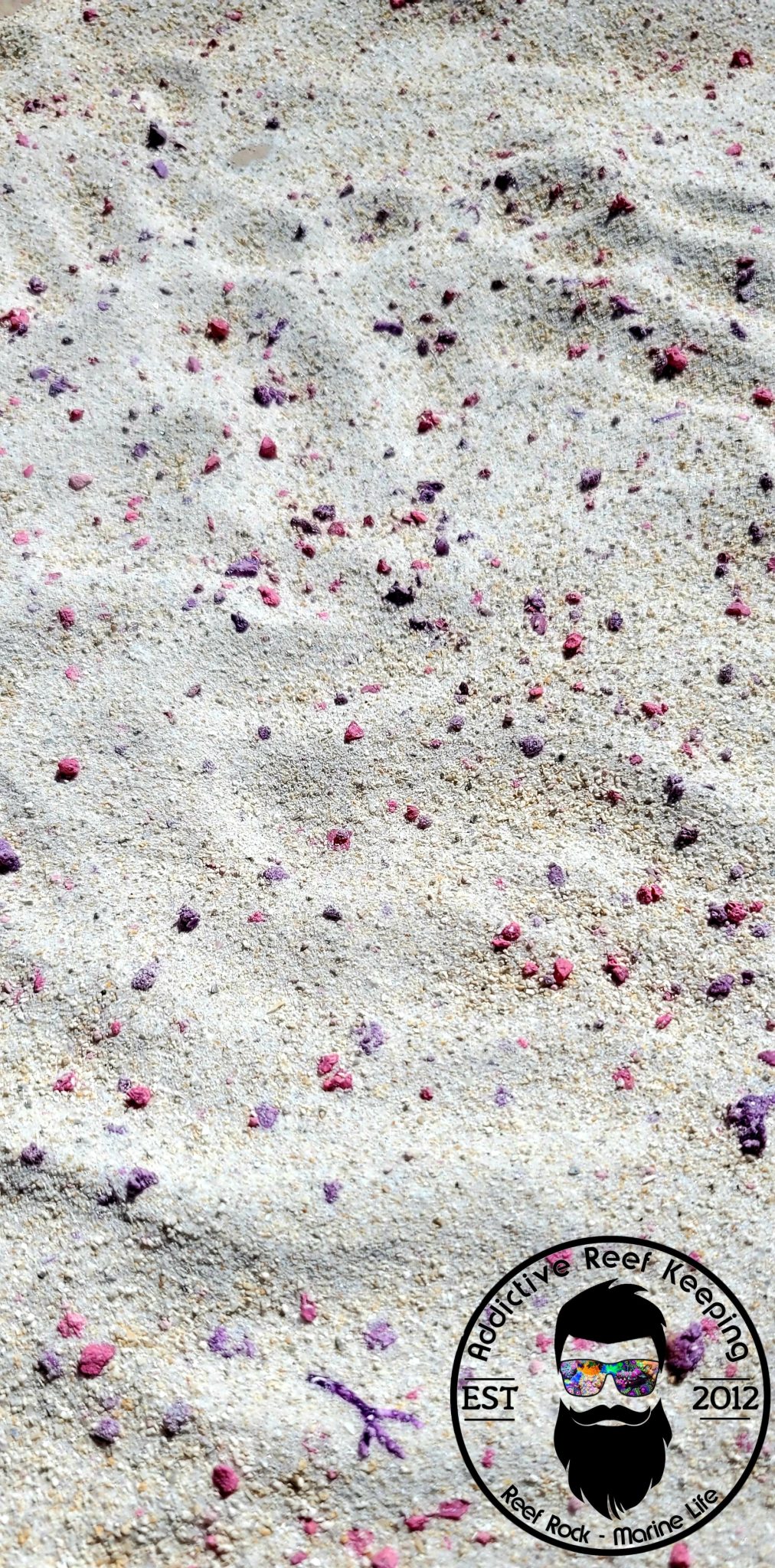 40lb. ARK Coralline Aragonite Reef Sand – FINE Natural White/Pink ...
