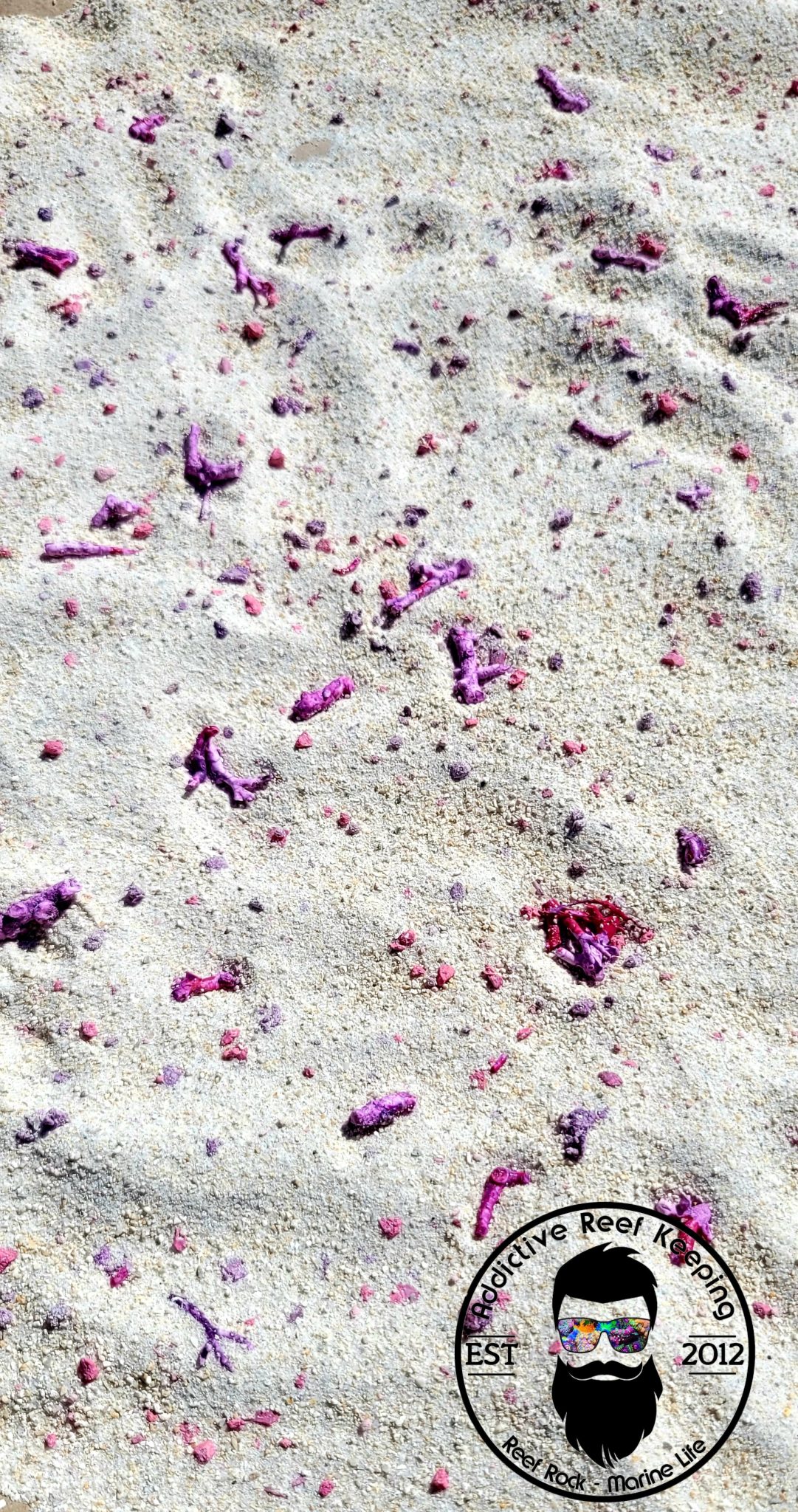 25lb. ARK Ocean Dreams Aragonite Reef Sand – FINE Natural White/Pink ...