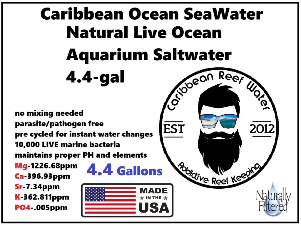 4.4gal Ocean SeaWater Natural LIVE Caribbean Marine Saltwater ...