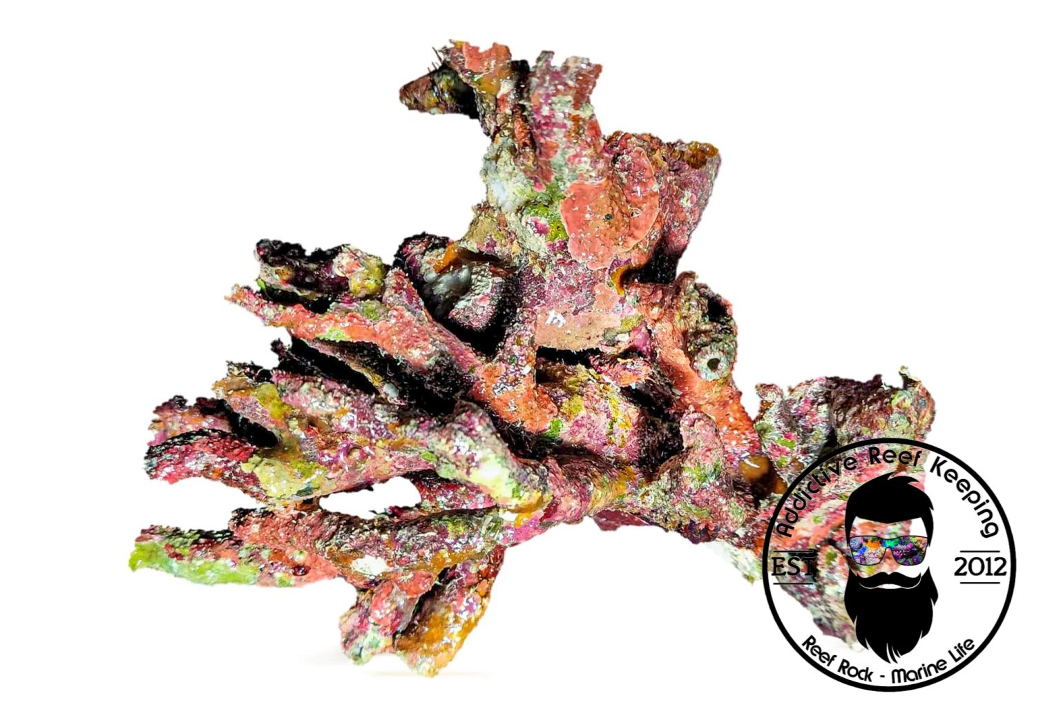 ARK Australian LIVE Reef Rock- FREE SHIPPING – Addictive Reef Keeping