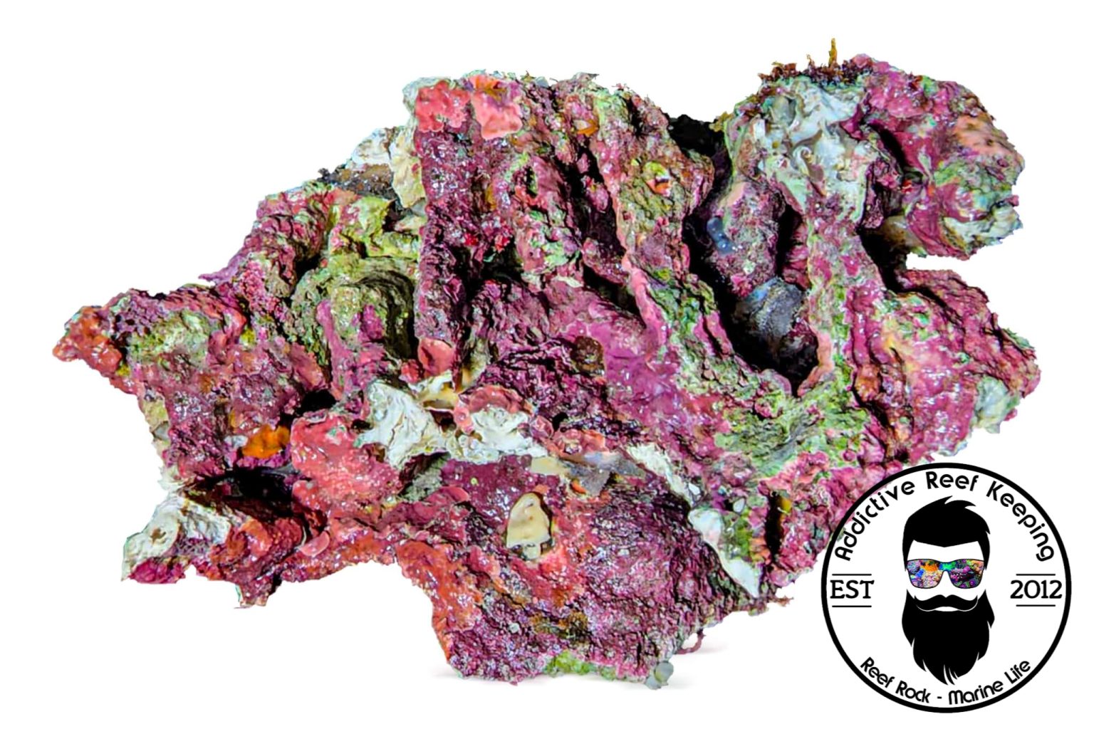 ARK Australian LIVE Reef Rock- FREE SHIPPING – Addictive Reef Keeping