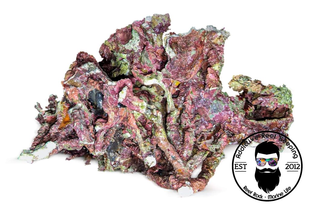 ARK Australian LIVE Reef Rock- FREE SHIPPING – Addictive Reef Keeping