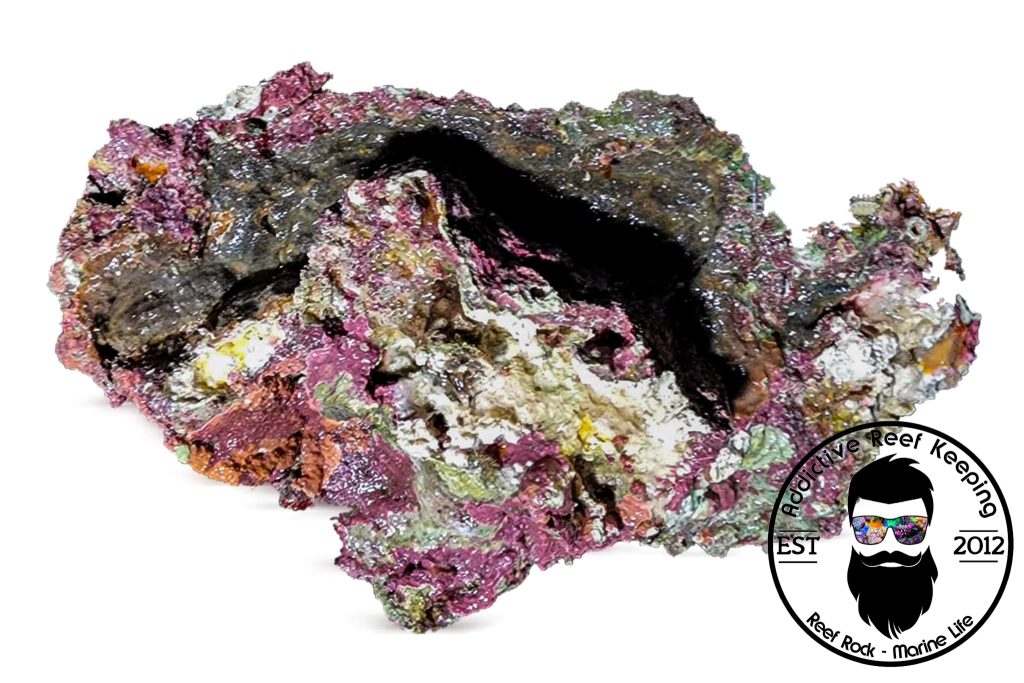 ARK Australian LIVE Reef Rock- FREE SHIPPING – Addictive Reef Keeping