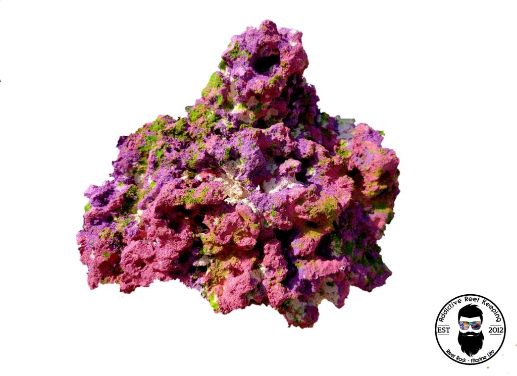 ARK Island Dreams Reef Rock- PICK SIZE AND WEIGHT – Addictive Reef Keeping