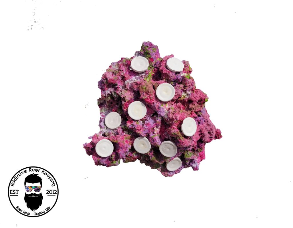 ARK Frag Rock Island Dreams- 10 Frag Holes- 9″× 8″ – Addictive Reef Keeping
