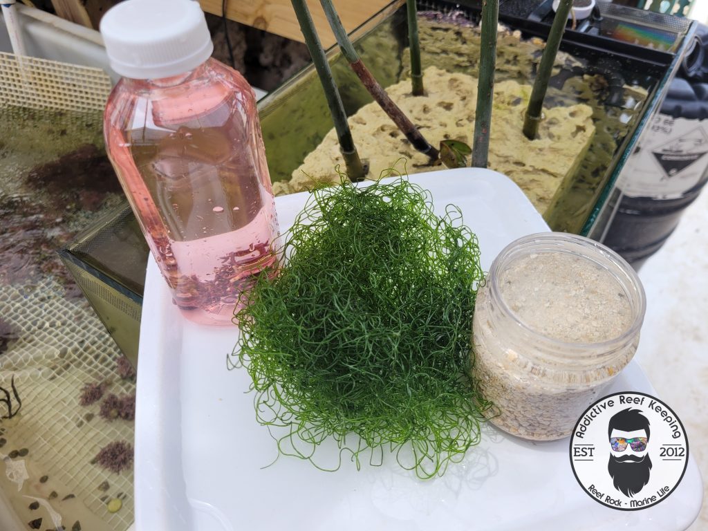 LIVE Saltwater Starter Kit 16oz Liquid Coralline Algae, Chaeto, LIVE ...