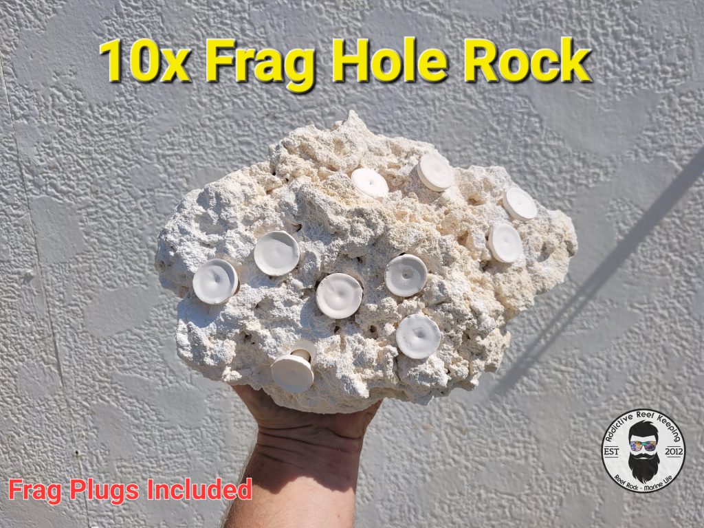 ARK Frag Rock- 10 Frag Holes- 9″× 8″ – Addictive Reef Keeping