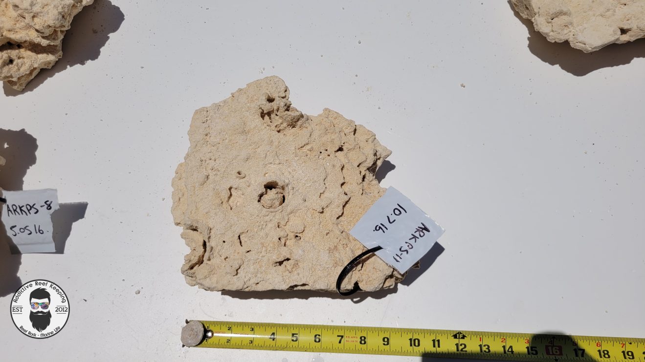 WYSIWYG Premium Shelf Rock- ARKPS-11 10.7lb – Addictive Reef Keeping