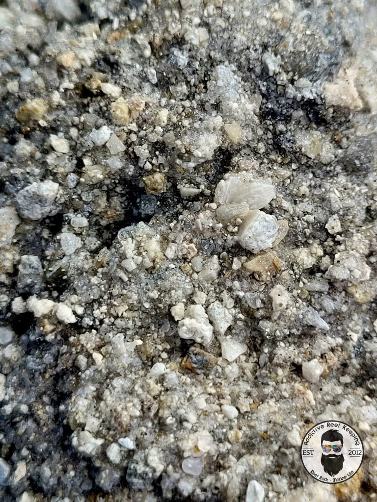 ARK LIVE Mud Substrate for Refugium, Mangroves, Chaeto, Seagrasses and ...