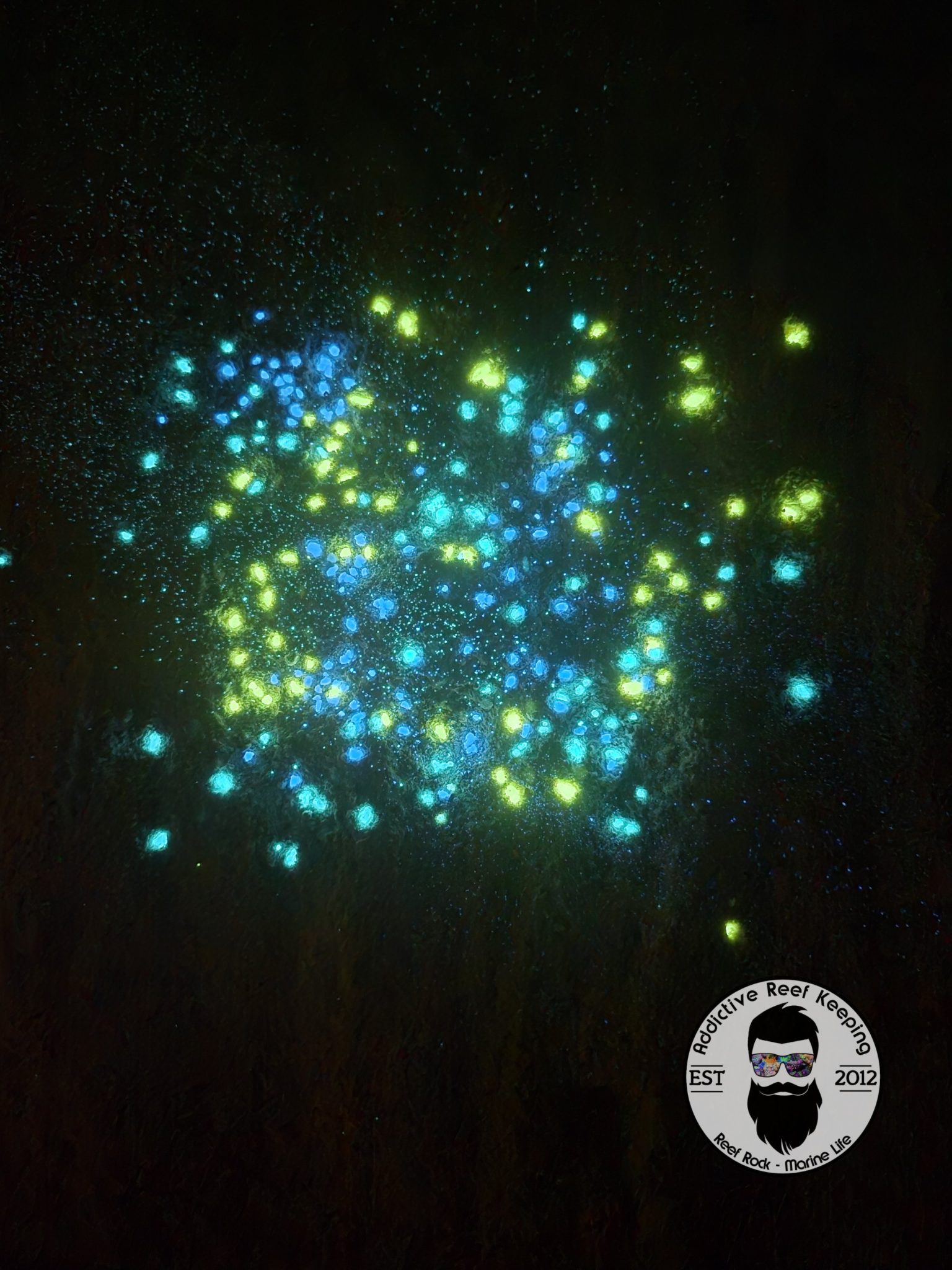 Glow In The Dark Large Grain Sand 2oz Triple Colors Green, Blue, Aqua ...